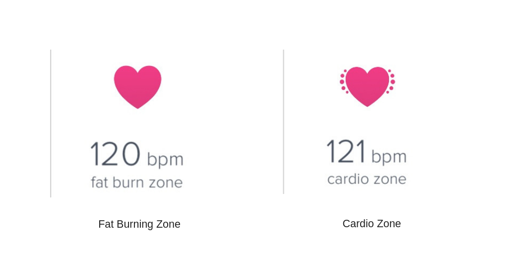 Building Endurance by Working Out in the Fat Burning Zone - Becoming Elli